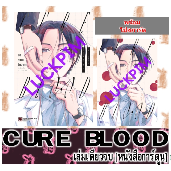 CURE BLOOD x 1 POSTCARD ลดจ [มังงะ] | Shopee Thailand