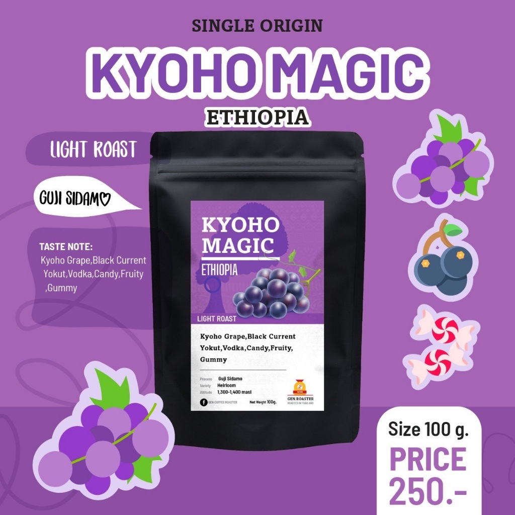 เมล็ดกาแฟคั่วอ่อน Kyoho Magic Ethiopia 100-200g. หอมองุ่น Kyoho หวานฉ่ำ ...
