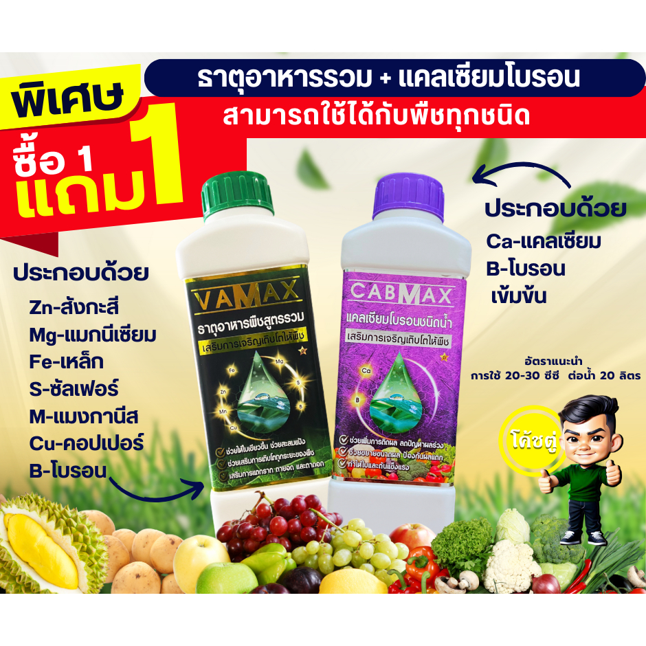 VaMax CabMax ธาตุอาหารพืชสูตรรวม 1 แถม 1 | Shopee Thailand