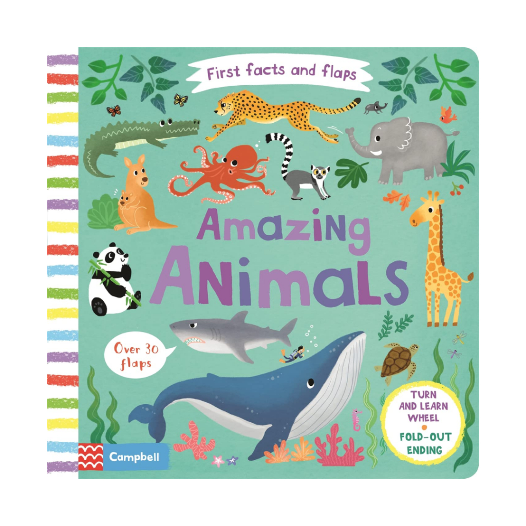 พร้อมส่ง First Facts and Flaps : Amazing Animals Lift the Flap Board ...