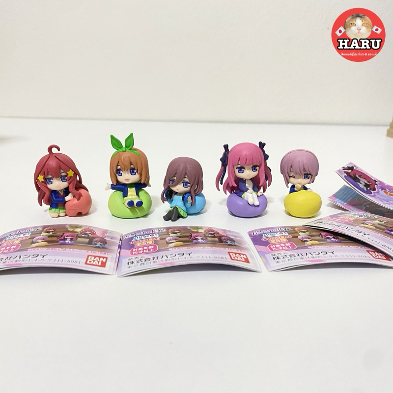 [พร้อมส่ง/มือ2/ของแท้] กาชาครบ Set เกาะสายเจ้าสาวของผมเป็นแฝด5 Hugcot ...