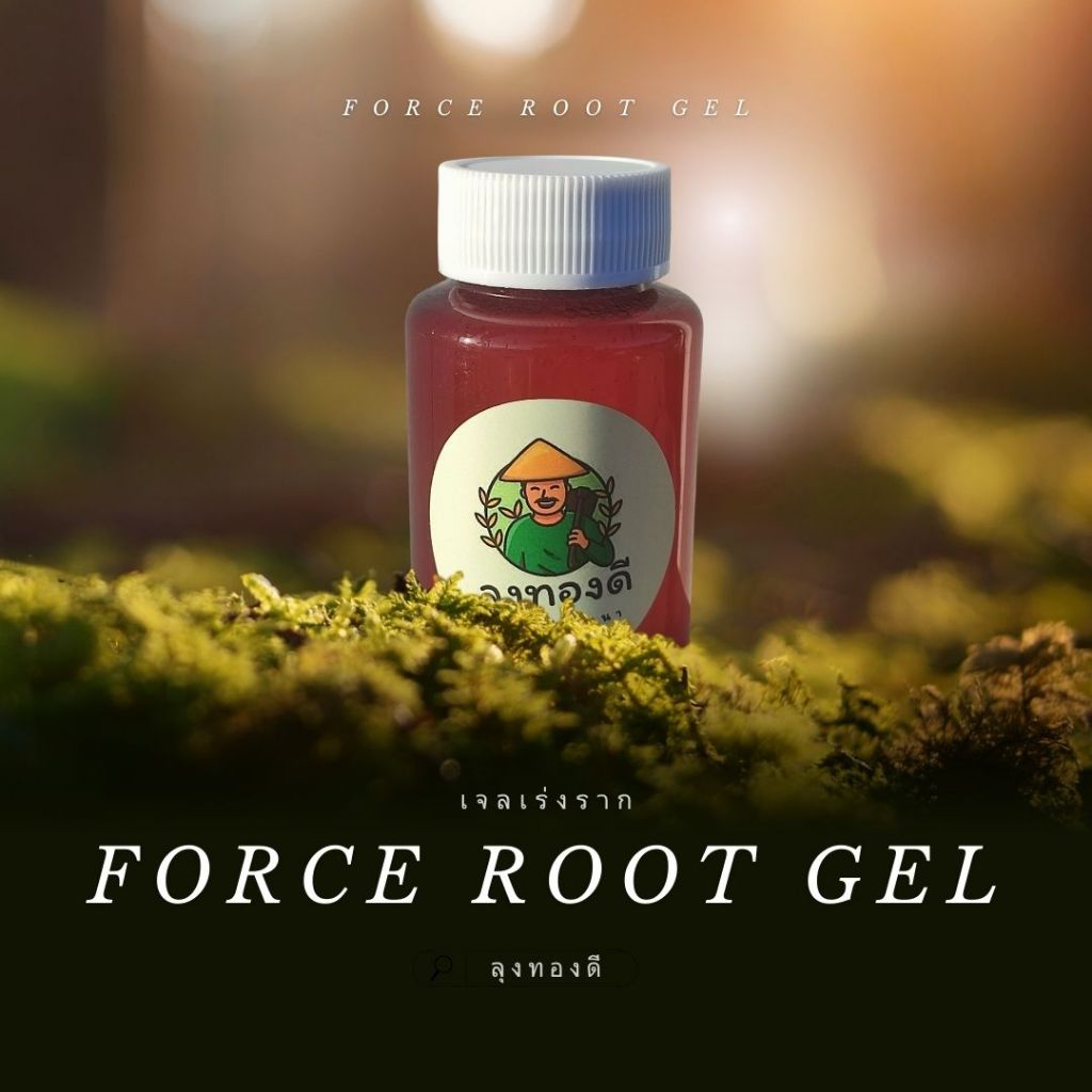 FORCE ROOT GEL เจลเร่งราก ขนาด 50 ml. | Shopee Thailand