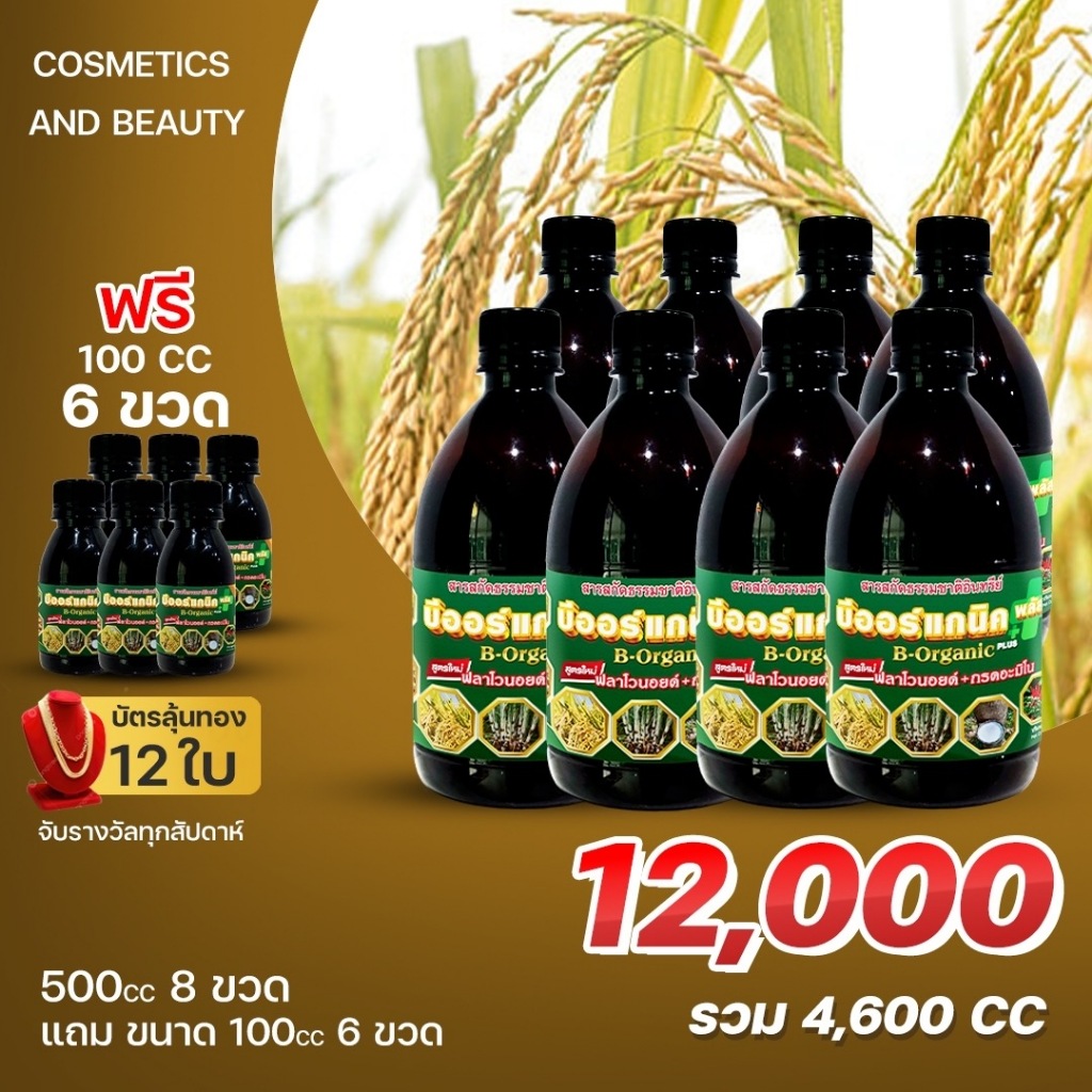 [ 500ซีซี 8 ขวด ] แถม 100ซีซี 6 ขวด B-Organic Plus บีออร์แกนิคพลัส | Shopee Thailand