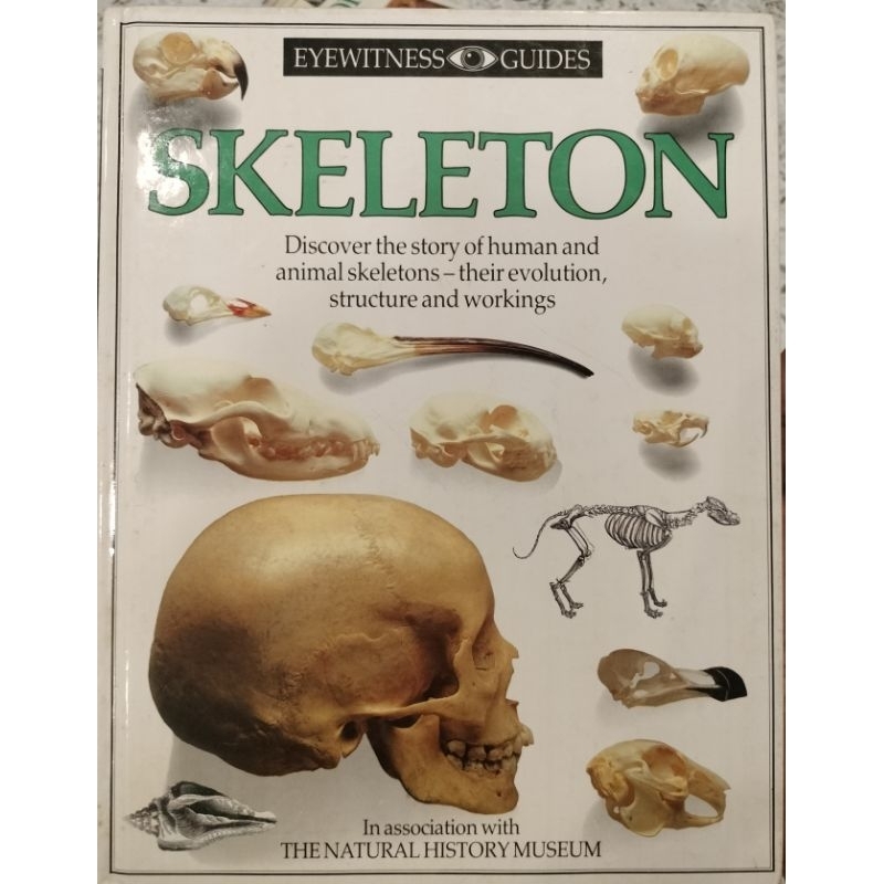 Eyewitness Guides Skeleton The Natural History Museum หนังสือภาษาอังกฤษ ...