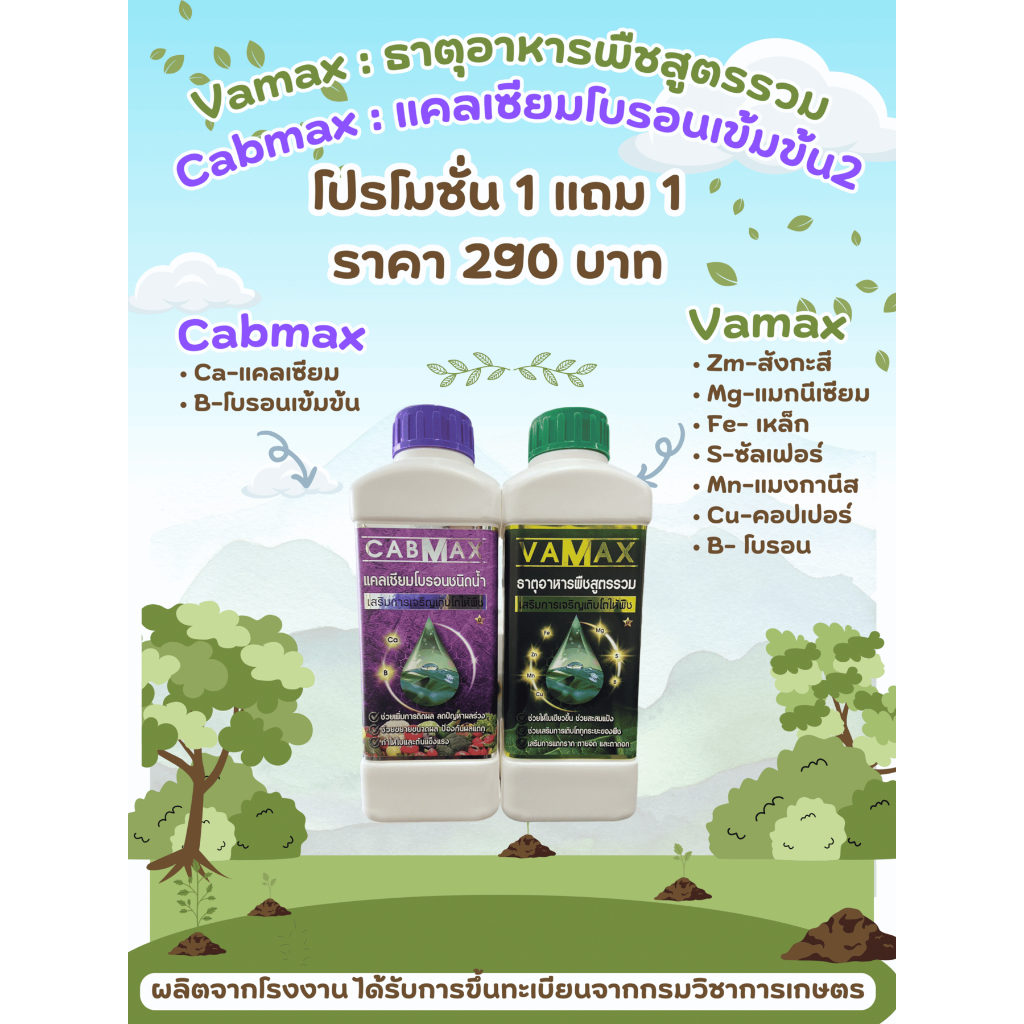 ชุด 1 แถม 1 (ปุ๋ยธาตุรวม VAMAX+CABMAXแคลเซียมโบรอน) ราคาโรงงาน | Shopee ...