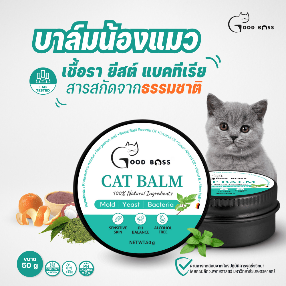 Goodboss Cat Balm บาล์มสำหรับเเมว ขนาด 50 กรัม เชื้อรา ยีสต์ ลดอาการคัน ...