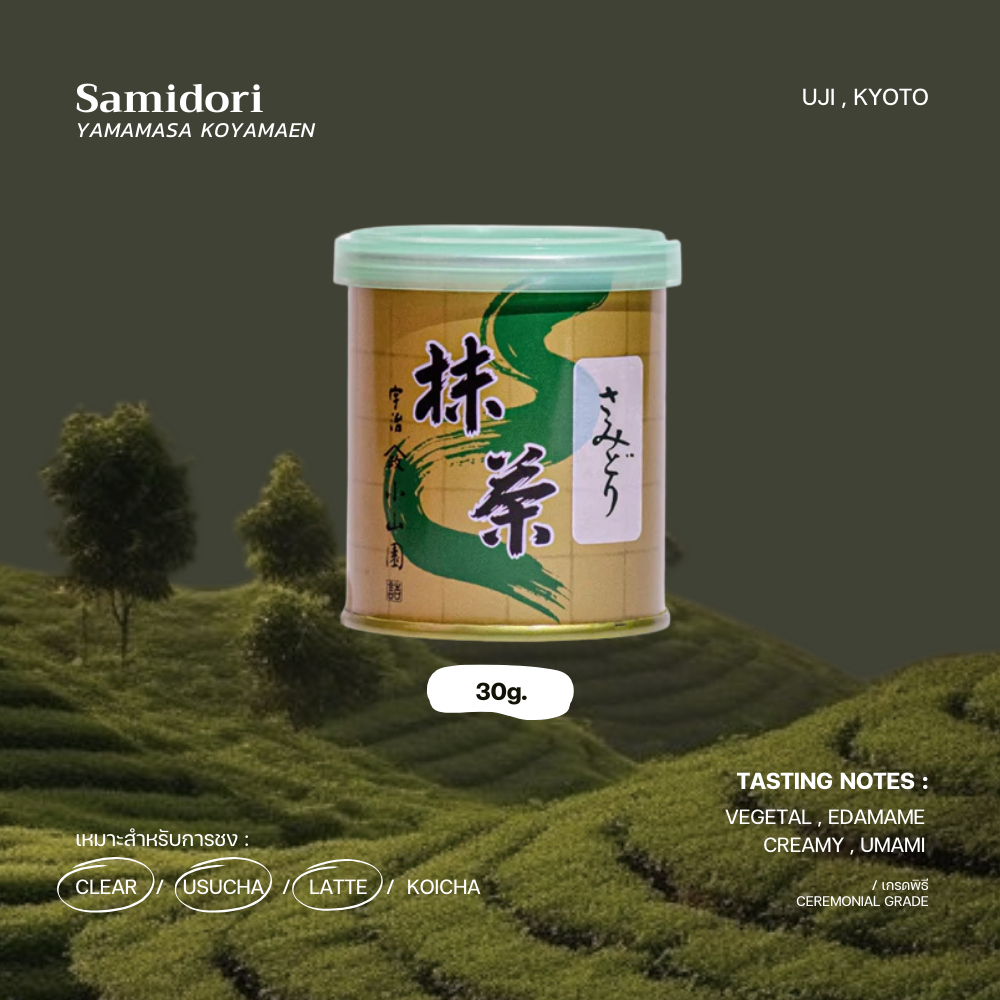 มัทฉะเกรดพิธี "Samidori" - YAMAMASA KOYAMAEN | Shopee Thailand