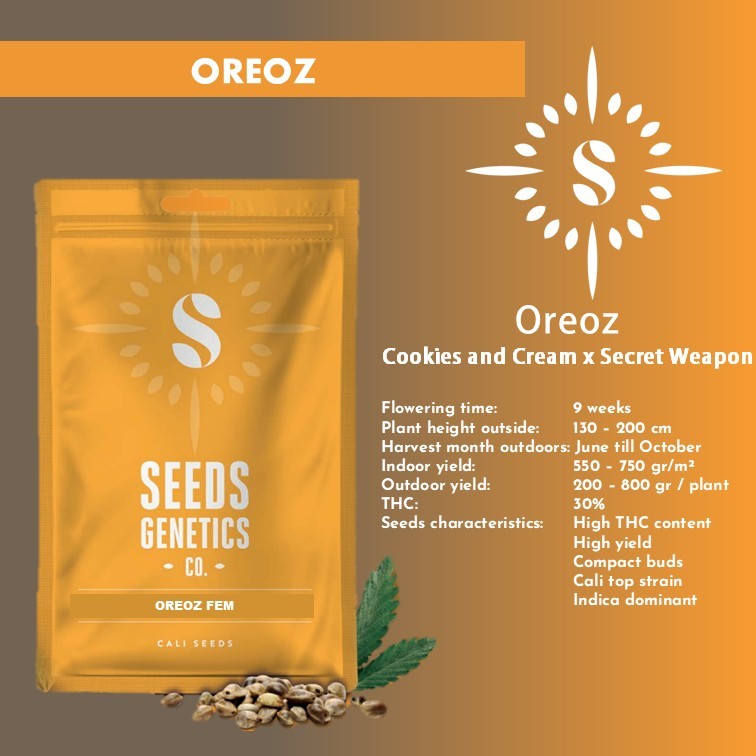 เมล็ด Oreoz - Seeds Genetics | Shopee Thailand
