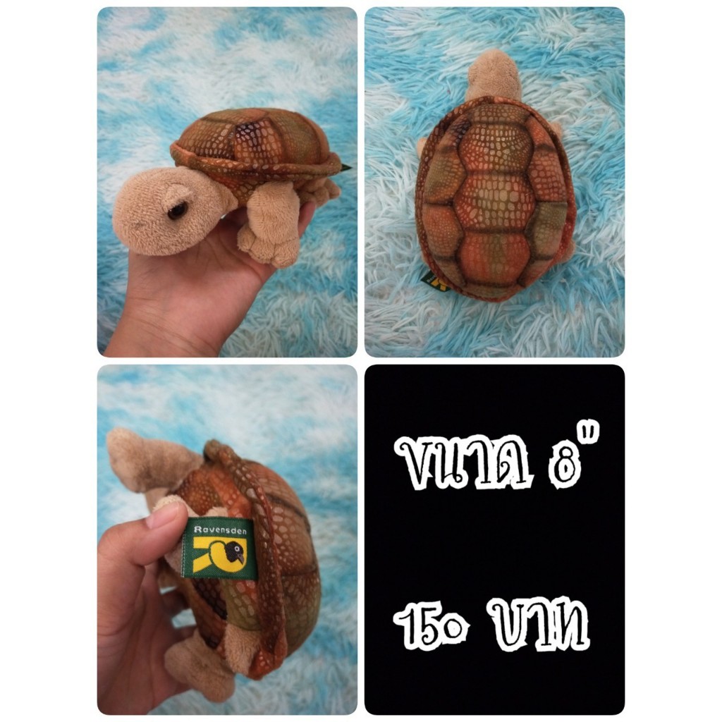 Turtle#เต่า#Suma Collection Turtle Ravensden#ตุ๊กตาญี่ปุ่นมือสอง ...