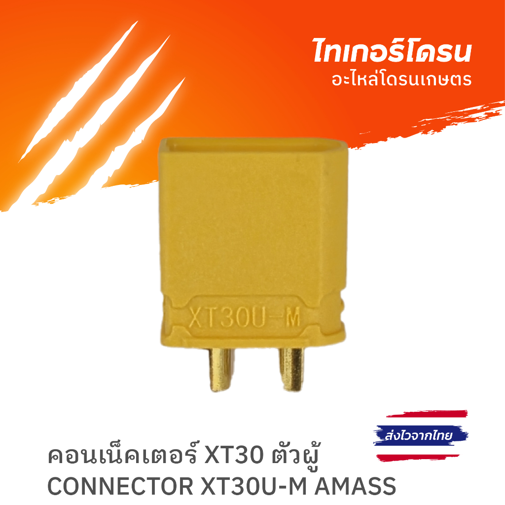 คอนเน็คเตอร์ XT30 ตัวผู้ /CONNECTOR XT30U-M AMASS | Shopee Thailand