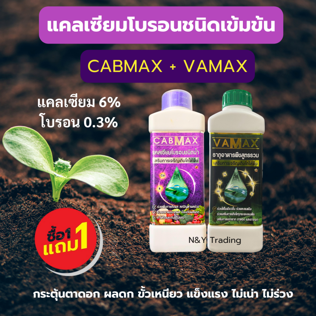 ปุ๋ย VAMAX + CABMAX เร่งการเจริญเติบโต พร้อมผลผลิตยั่งยืน ตัวช่วยของ ...