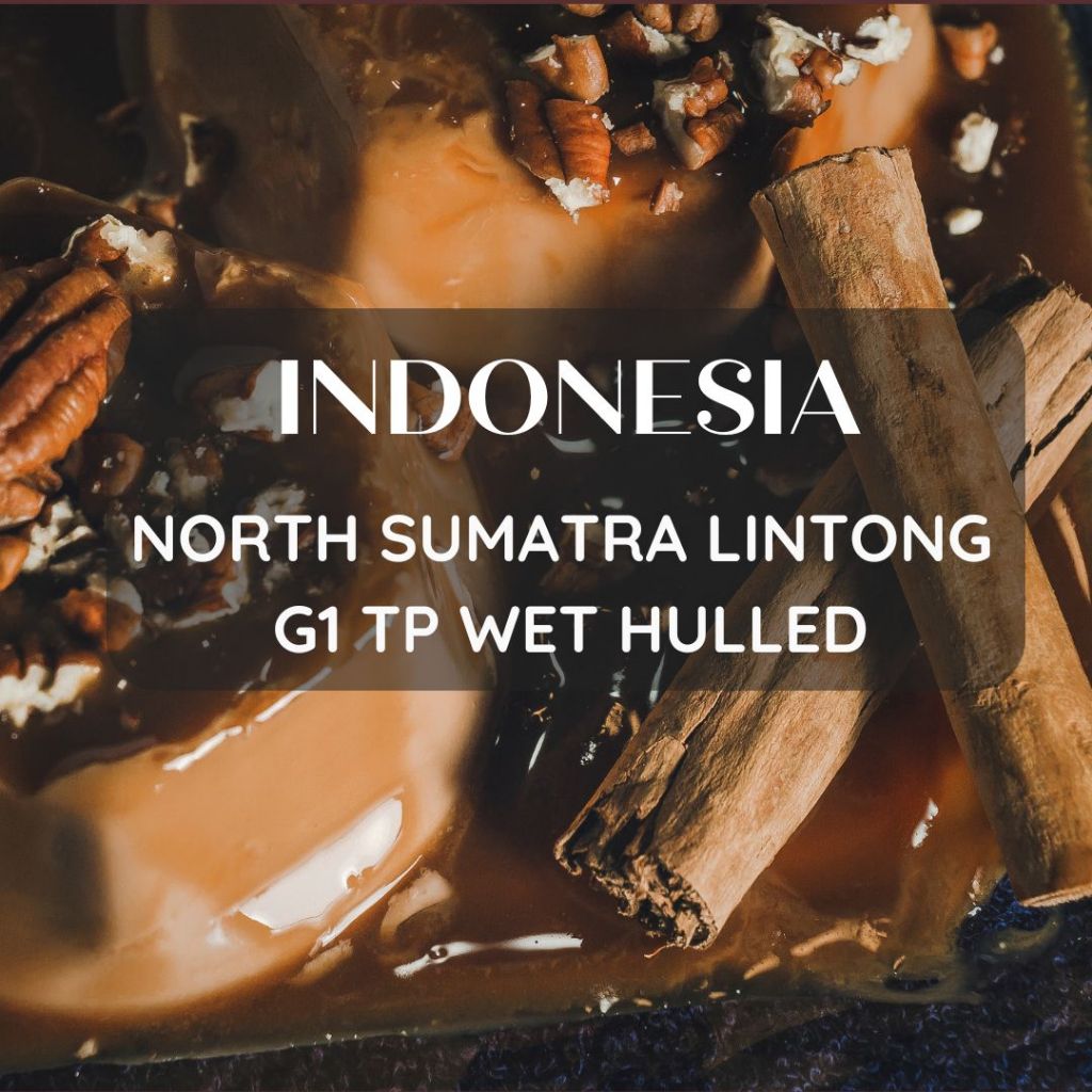 สารเมล็ดกาแฟ Indonesia North Sumatra Lintong G1 TP Wet Hulled | Shopee ...