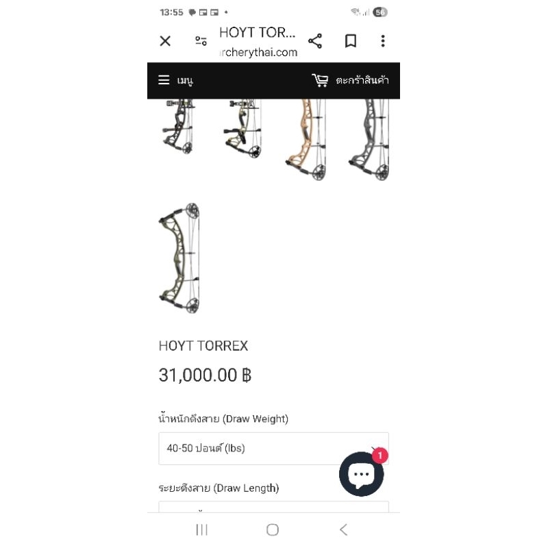 ธนู.. Hoyt TORREX 30 - 34 นิ้ว 40 - 50 ปอนด์ อายุ 6 เดือน | Shopee Thailand