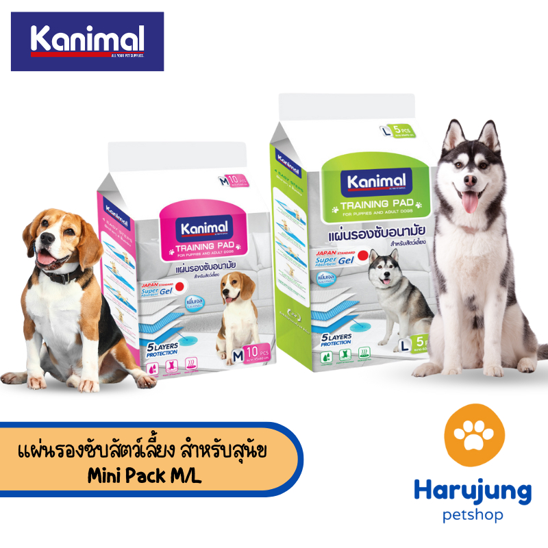 Kanimal Training Pad แผ่นรองฉี่สุนัข แผ่นรองซับสัตว์เลี้ยง สำหรับสุนัข ...