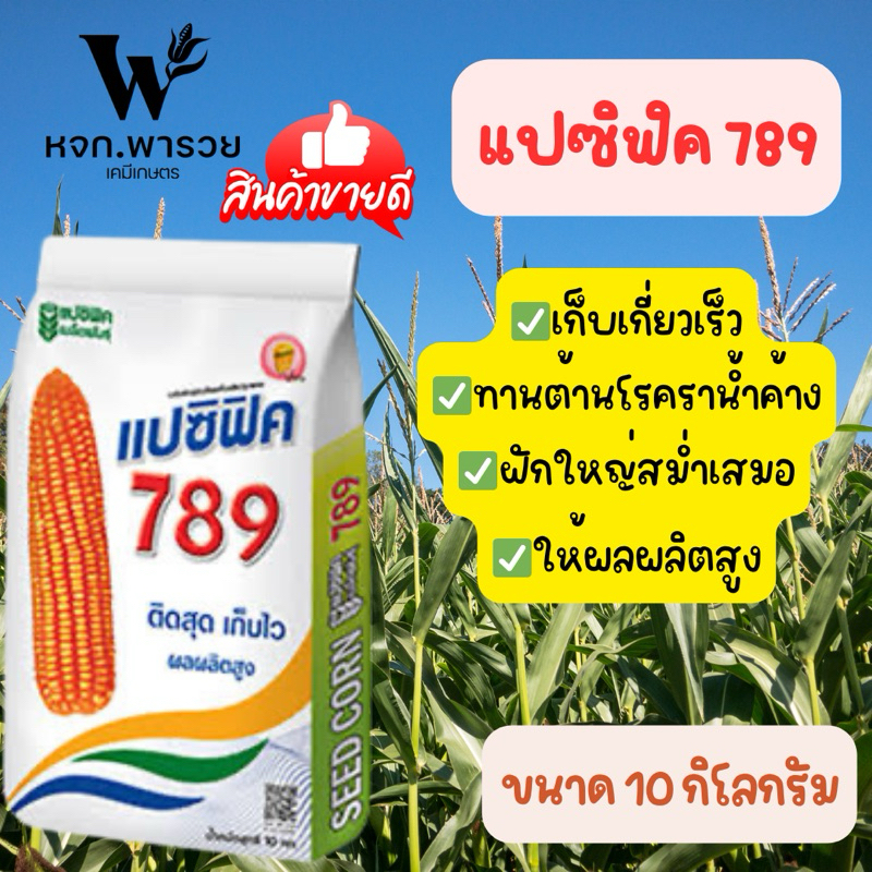 (EXP:15/8/69)เมล็ดพันธุ์ข้าวโพด แปซิฟิค 789 (3.5 หุน ) ขนาด 10 กิโลกรัม | Shopee Thailand