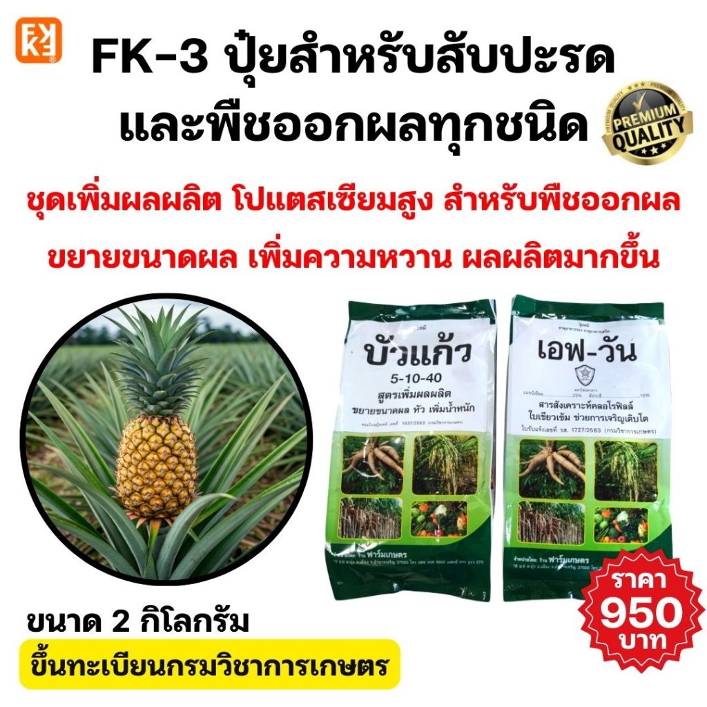 ปุ๋ยทางใบสำหรับสับปะรด FK-1 และ FK-3 เพิ่มผลผลิต เร่งหวาน ลูกดก โตไว ใบ ...