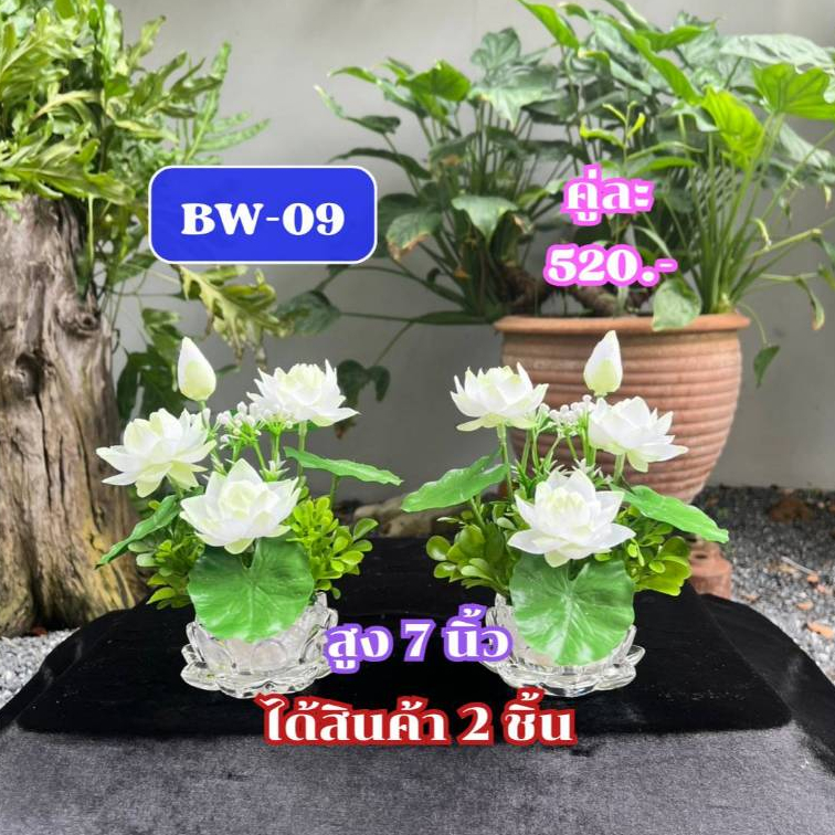 ฺBW-09 พานบัวคู่สีขาว สูง 7 นิ้ว ได้ 2 ชิ้น | Shopee Thailand