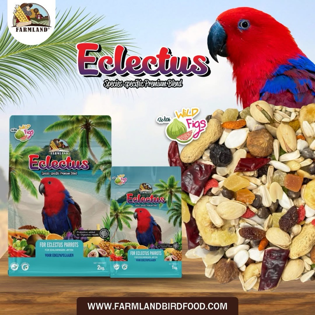 Farmland Electus Parrot ถุง1kg.-2kg. | Shopee Thailand