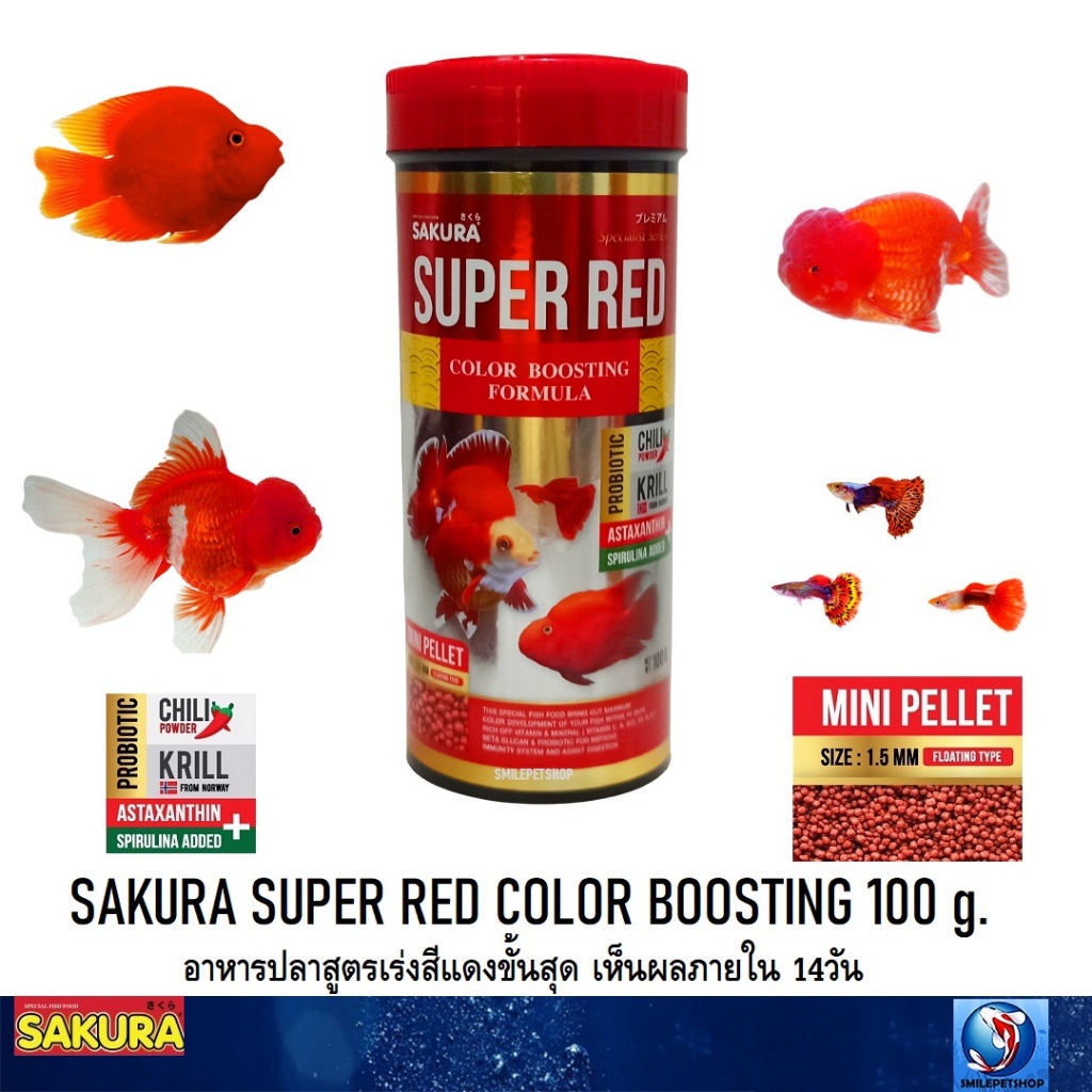 SAKURA SUPER RED COLOR BOOSTING 100 g.(อาหารปลาสูตรเร่งสีแดงขั้นสุด ...