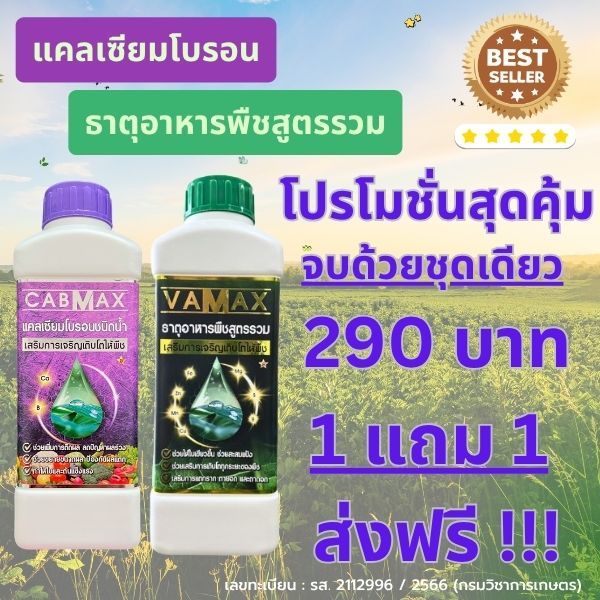 ซื้อ 1 แถม 1 Vamax เเละ Cabmax ธาตุอาหารรวม + แคลเซียมโบรอน พืชติดดก ...