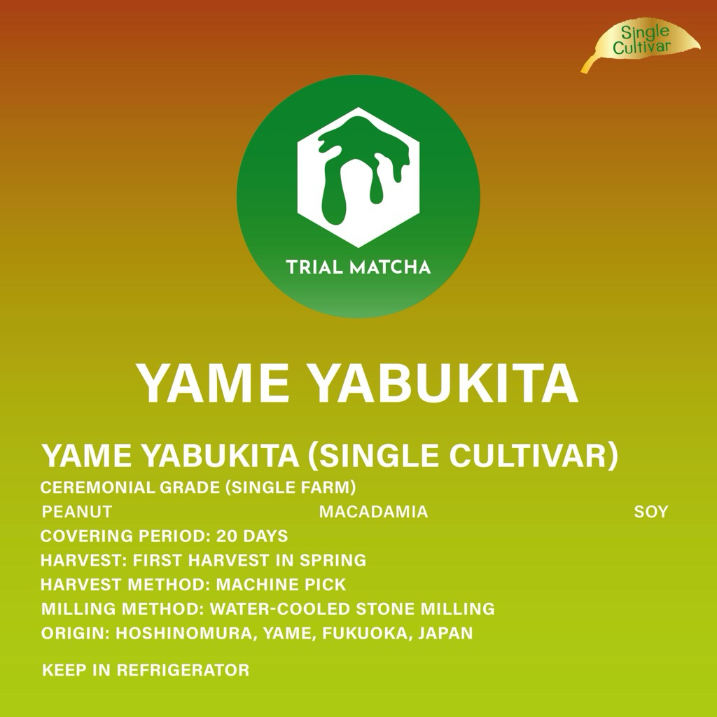 TRIAL MATCHA | ผงมัทฉะยาเมะสายพันธุ์เดี่ยว Yame Yabukita Single ...
