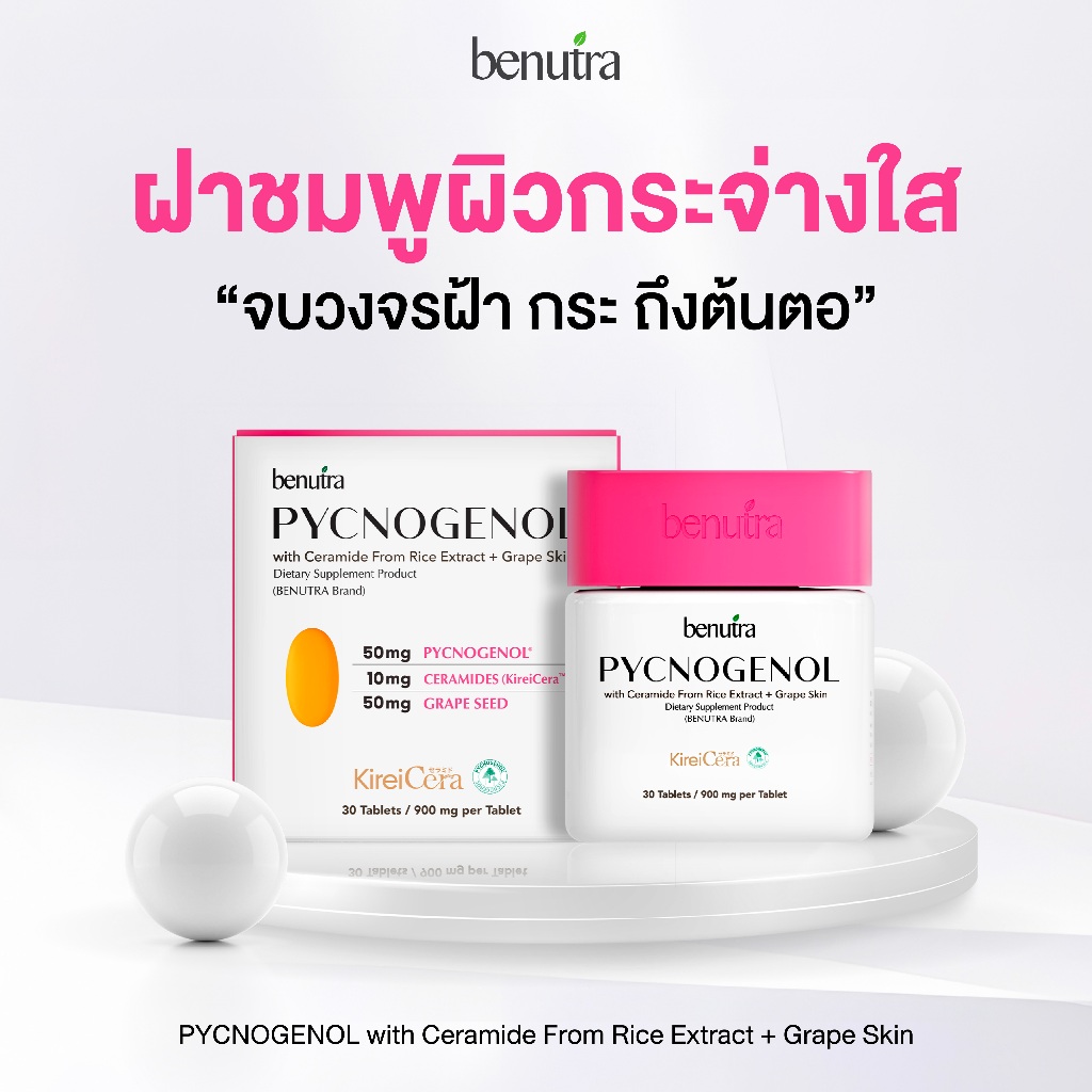 (Benutra Pycnogenol บีนูทร่า พิกโนจีนอล) with Ceramide From Rice ...