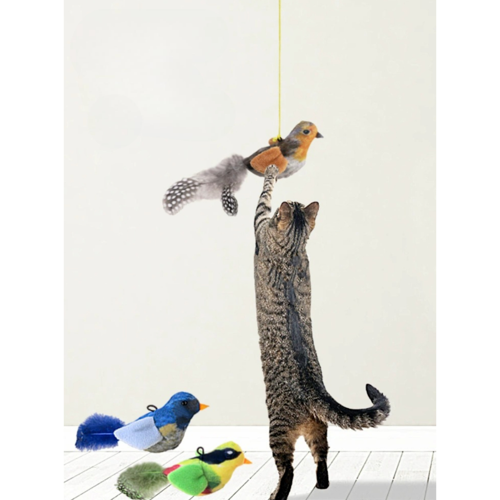 BN- 602 นกของเล่นแมว ห้อยได้ เสมือนจริง น่ารัก ราคาประหยัด พร้อมส่งทันที 🐱 | Shopee Thailand