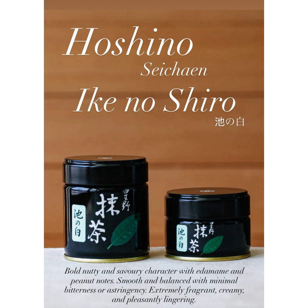 Ike no shiro Hoshino Seichaen พร้อมส่ง | Shopee Thailand
