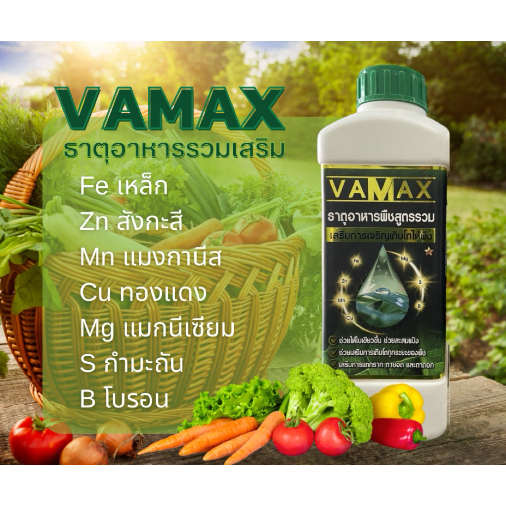VAMAX ธาตุรวมเสริม 7 ชนิด 1ลิตร (V1) | Shopee Thailand