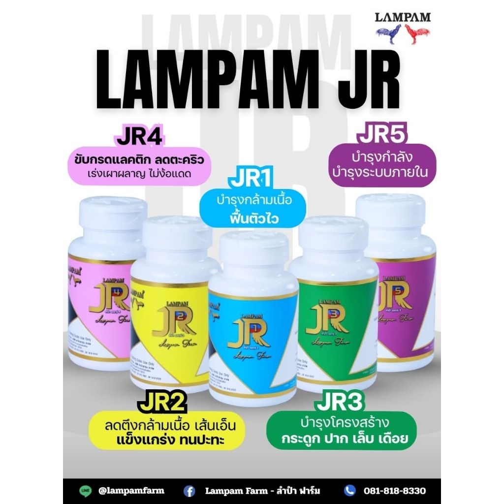 LAMPAM ลำปำ ชุด JR วิตามิน | Shopee Thailand
