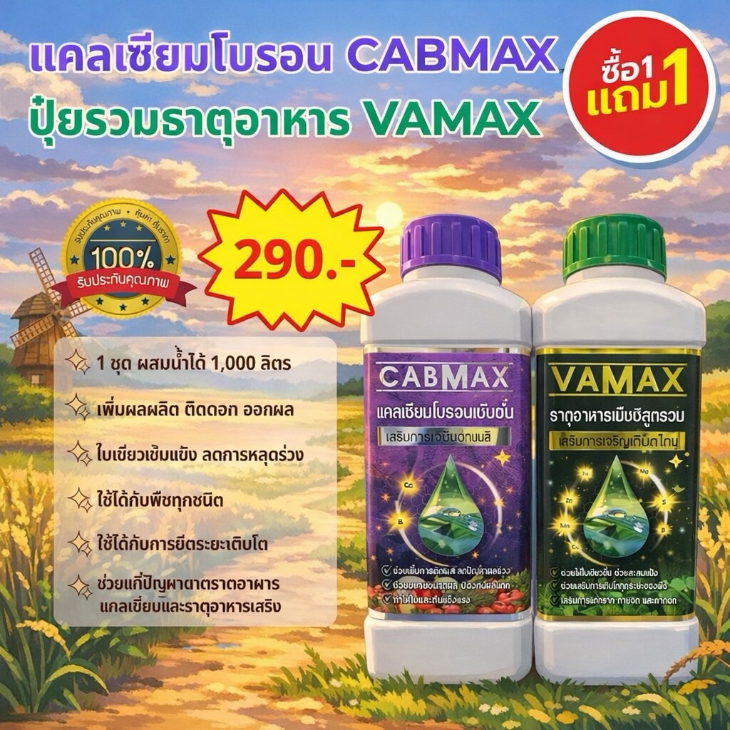 🔥ถูกสุด!!🔥 [ชุด 1แถม1] CABMAX+VAMAX แคลเซียมโบรอนเข้มข้น แถม ปุ๋ยธาตุ ...