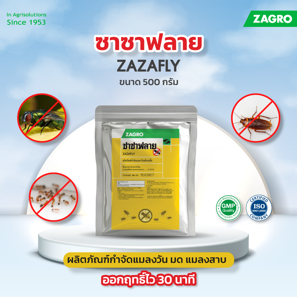 ซาซาฟลาย Zazafly ขนาด 500 กรัม ผลิตภัณฑ์กำจัดแมลงวัน มดและแมลงสาบ ออก ...
