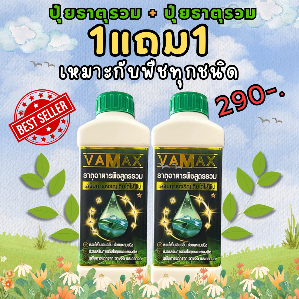 [1แถม1] VaMax+VaMax ปุ๋ยธาตุรวม แถม ปุ๋ยธาตุรวม | Shopee Thailand
