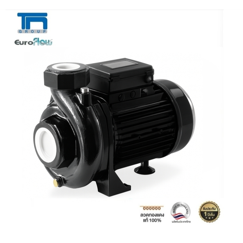 ปั๊มน้ำหอยโข่ง EUROFLOW รุ่น WS300/3 3HP ท่อเข้า3นิ้ว - ท่อออก 3นิ้ว 3 ...