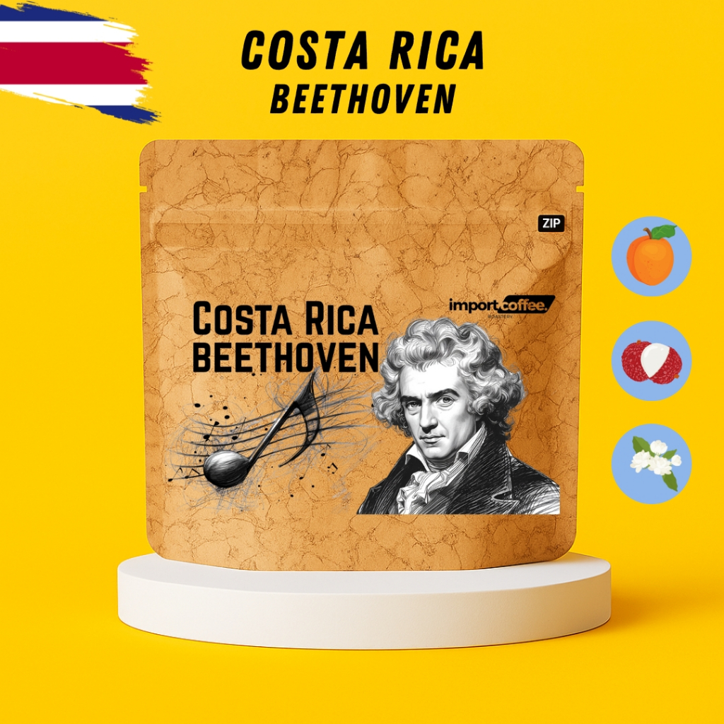 IMport coffee bean เมล็ดกาแฟคั่ว Costa Rica Beethoven | Shopee Thailand