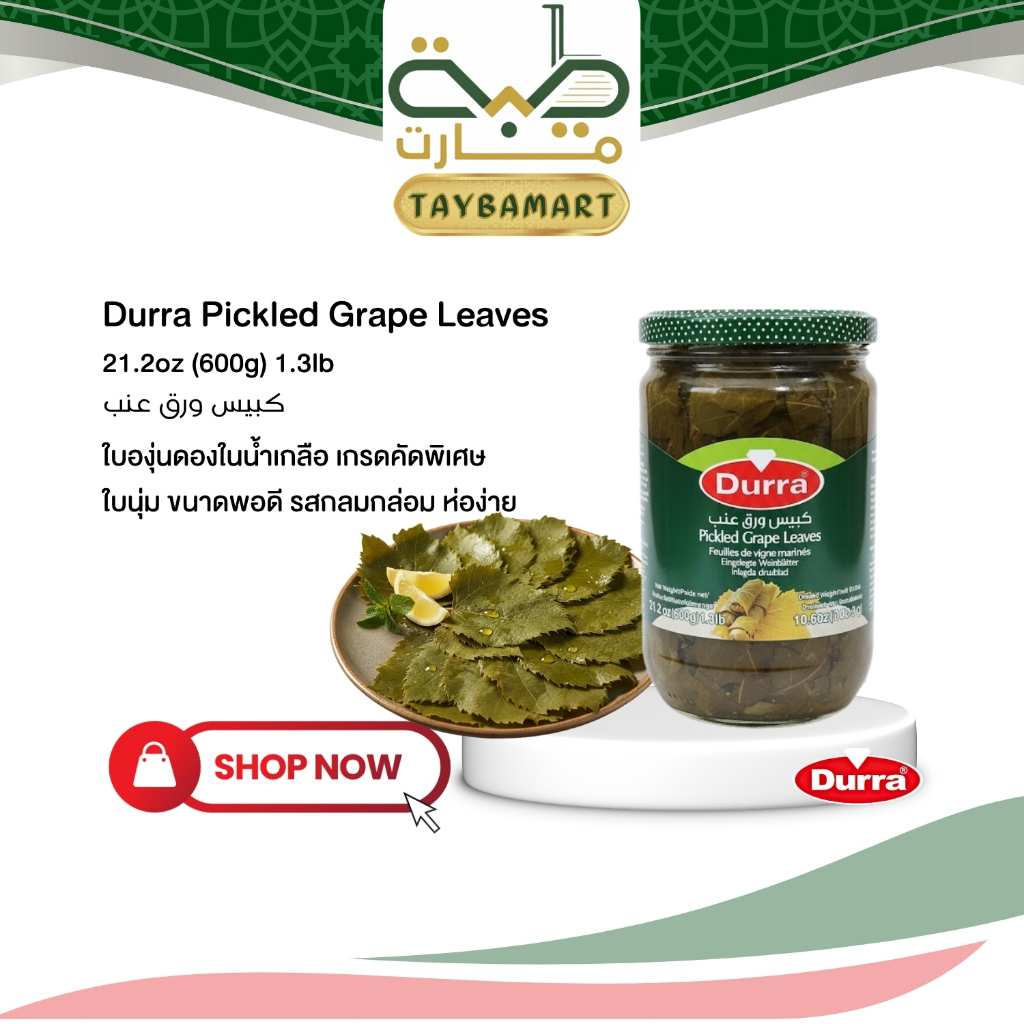 Durra ใบองุ่นดอง 600g Grape Leaves (ورق عنب) ใบองุ่นในน้ำเกลือ คัดเกรด ...