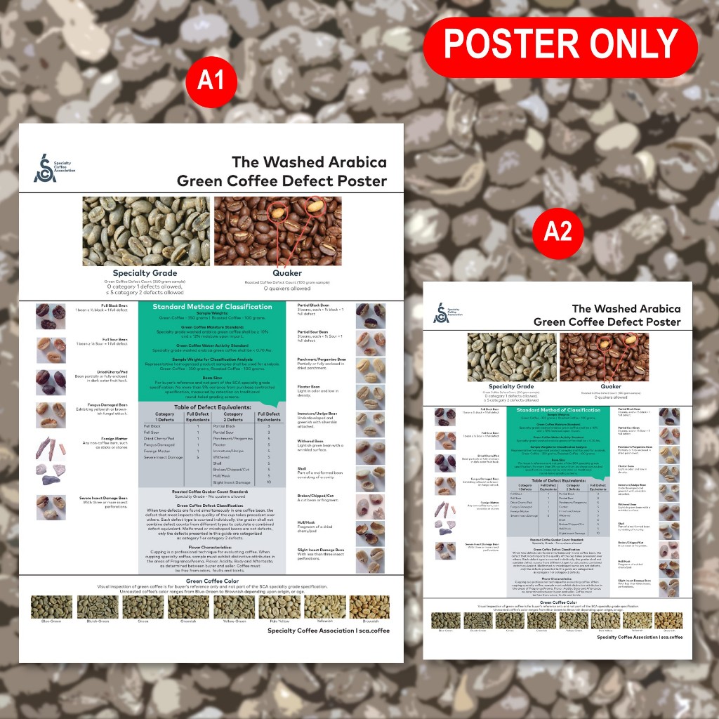 Poster : การจำแนกเมล็ดสารกาแฟบกพร่อง [Washed Arabica Green Coffee ...