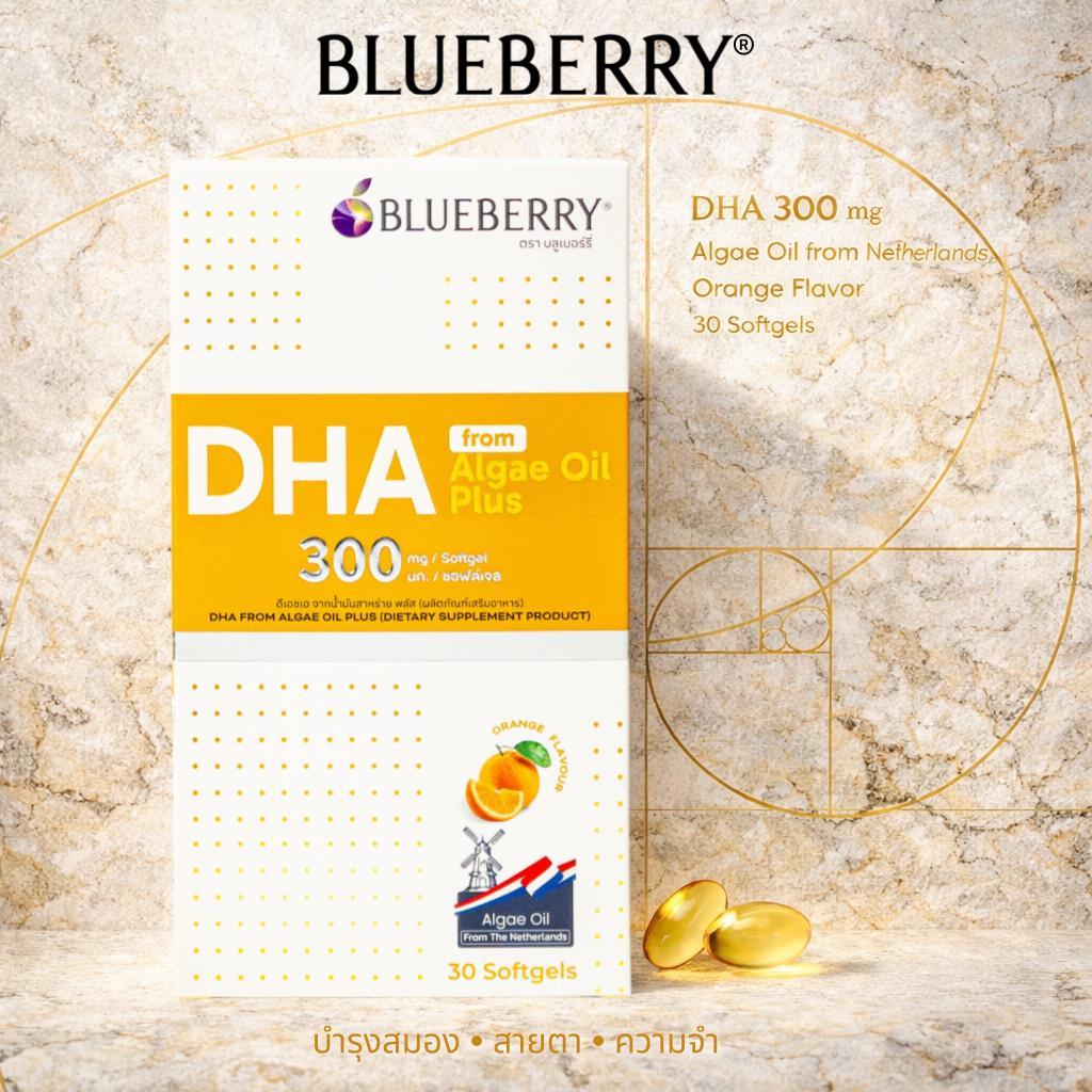 Blueberry® DHA 300 mg 30 Softgel บลูเบอร์รี่ ดีเอชเอ 300 มิลลิกรัม 30 ...