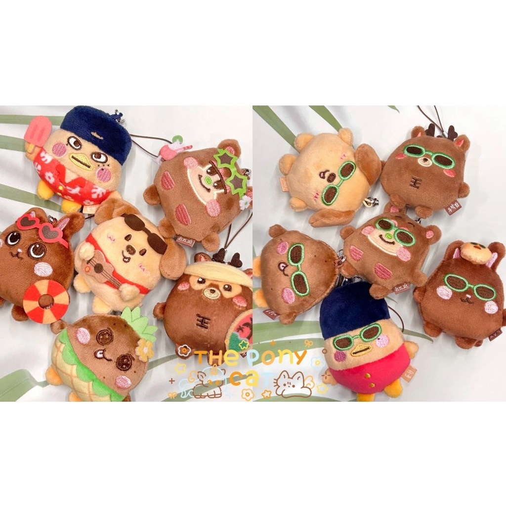 พร้อมส่งในไทย RIIZE Mini Official Keyring Summer/Sunglass ver. | Shopee ...