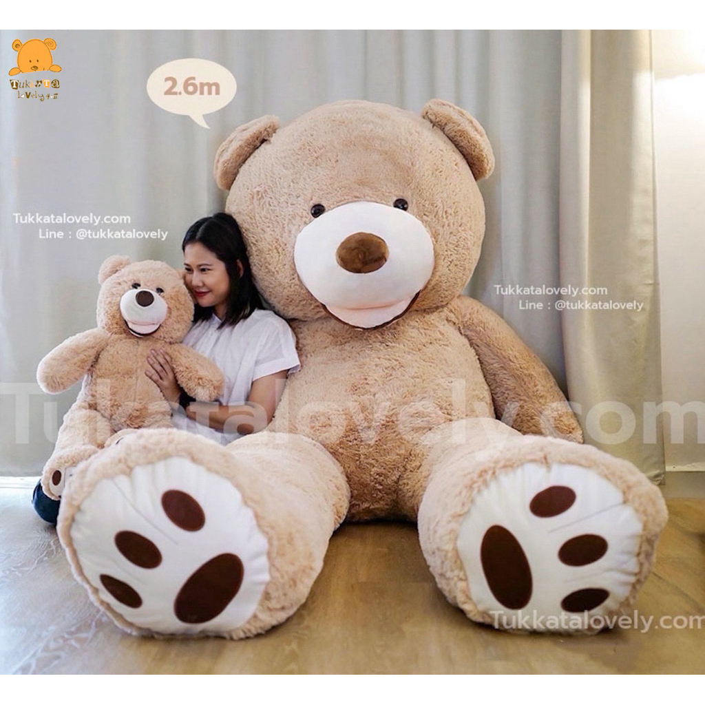 ตุ๊กตาหมีตัวใหญ่ ขนาด 2m-3.4m (ตุ๊กตาหมีเท็ดดี้แบร์) Giant Teddy Bear ...