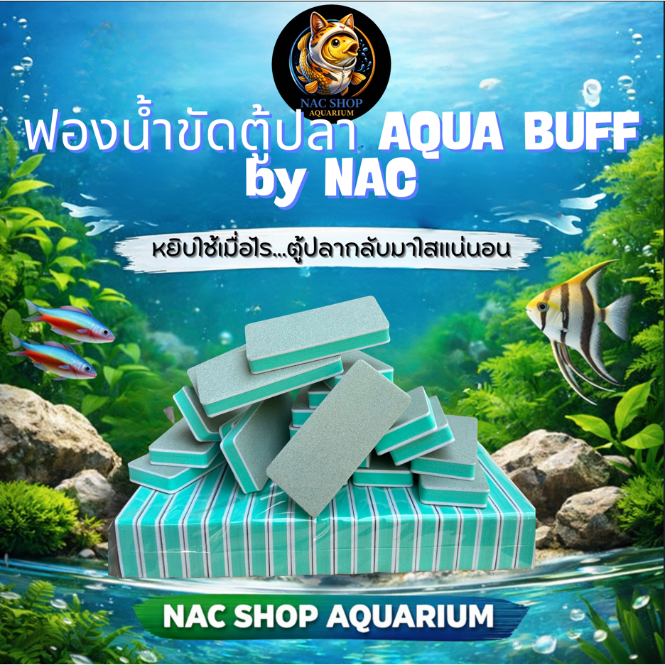 ฟองน้ำขัดตู้ปลา Aqua Buff ออกแบบมาเพื่อการทำความสะอาดตู้ปลาโดยเฉพาะ ...