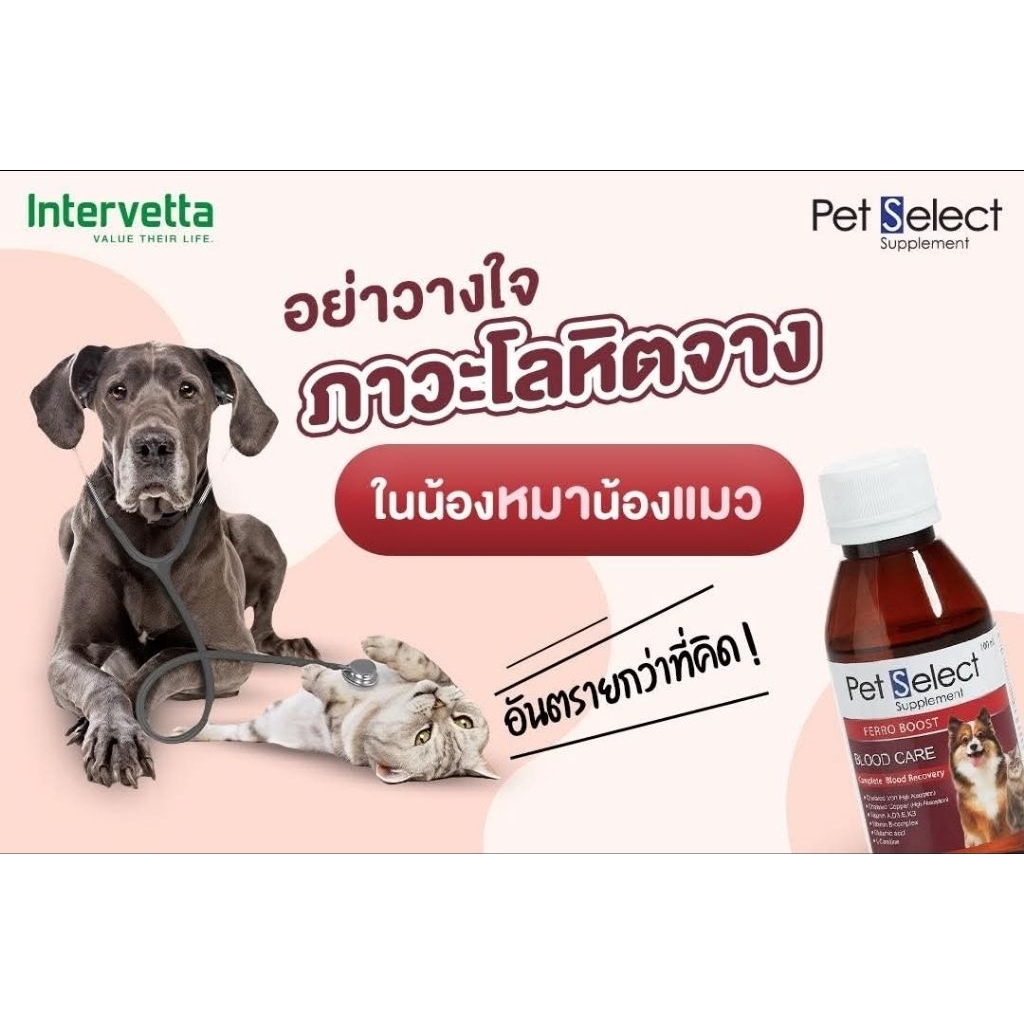 (( ลดราคา Exp.10/2025 )) Pet Select FERRO-BOOST วิตามินที่จำเป็นสำหรับ ...