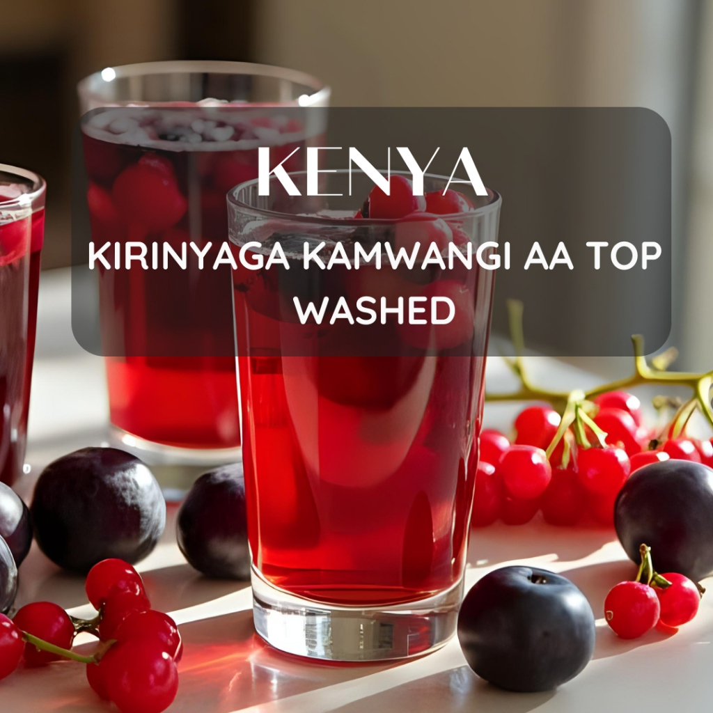 สารเมล็ดกาแฟ Kenya kirinyaga Kamwangi AA top Washed 2025 | Shopee Thailand