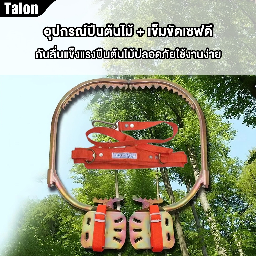 Talon ที่ปีนต้นไม้ อุปกรณ์ปีนต้นไม้ Tree Climbing ต้นไม้ รุ่น เข็มขัด ...