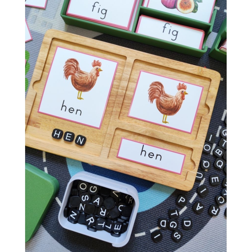 3 part card Montessori | Shopee Thailand