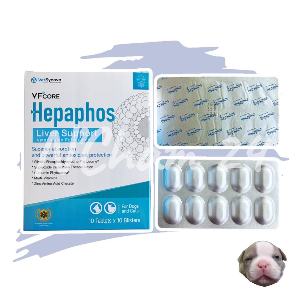 Hepaphos วิตามิน บำรุงตับ สำหรับสุนัขและแมว รสตับ | Shopee Thailand