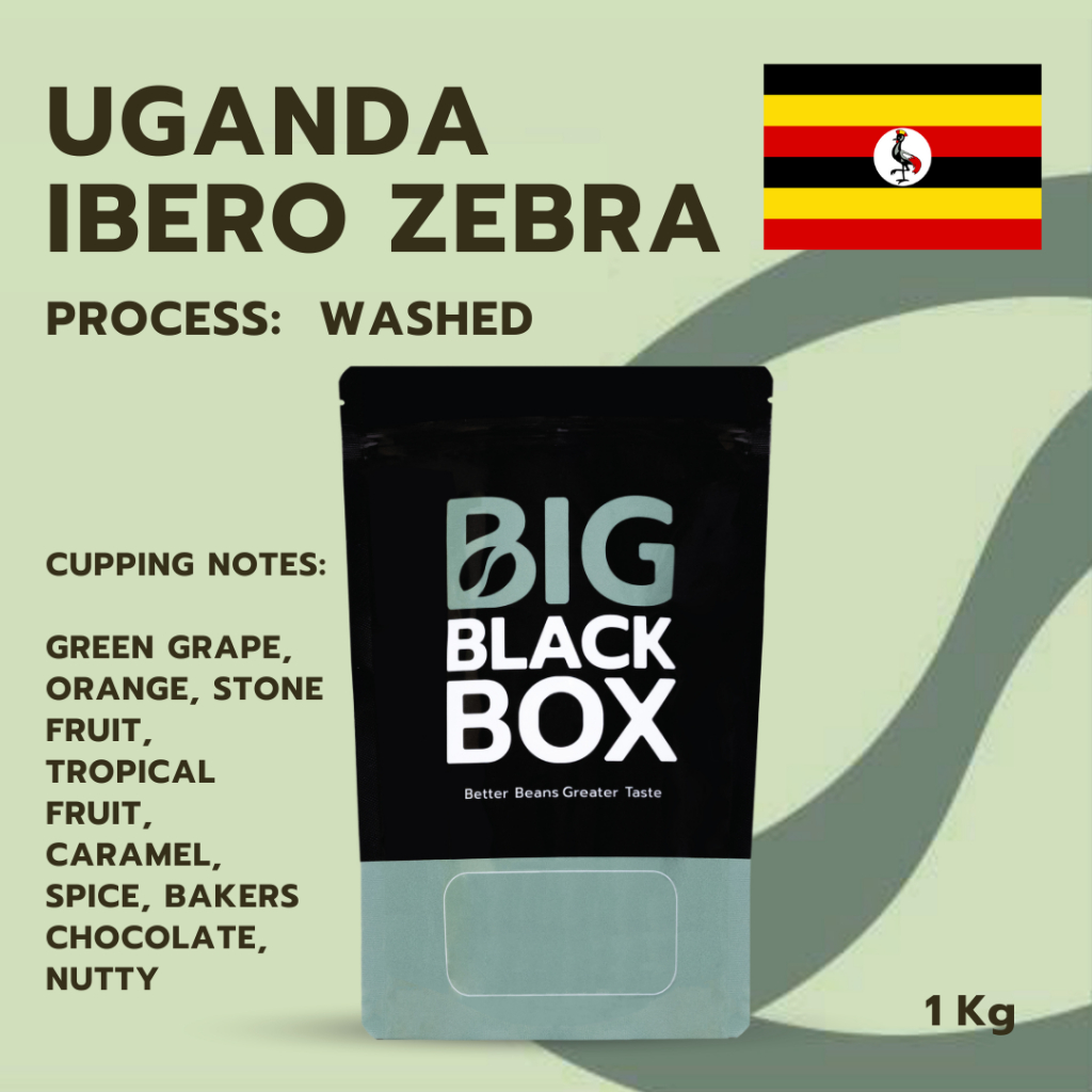 (A-CA-UG-06-001) สารกาแฟ Uganda Ibero Zebra Washed 1Kg | Shopee Thailand