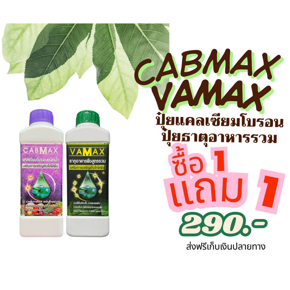 CABMAX VAMAX ซื้อ 1 แถม 1 แคลเซียมโบรอนเข้มข้น แถมปุ๋ยธาตุรวม ผลดก ขั้ว ...