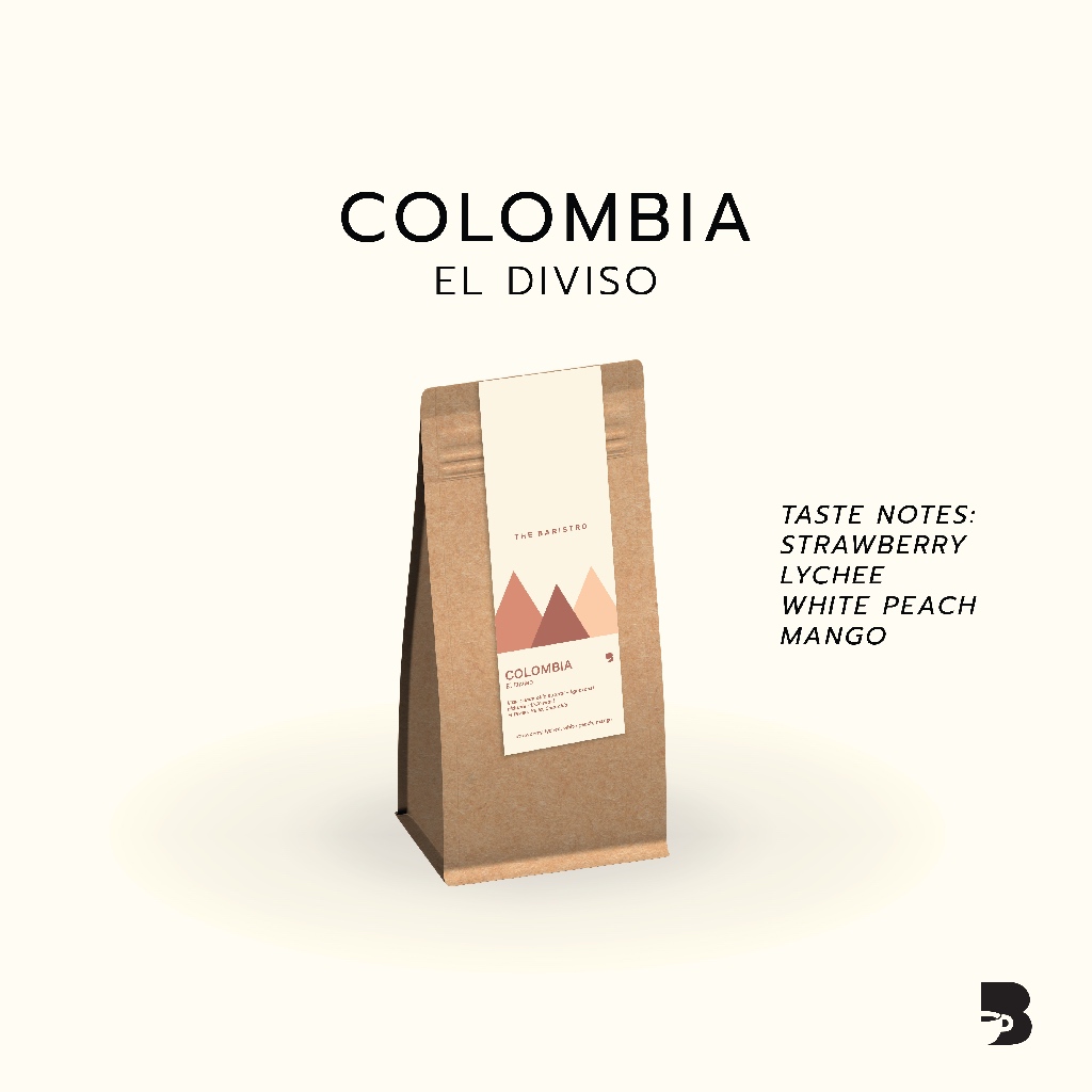 เมล็ดกาแฟ คั่วอ่อน - Colombia El Diviso Anaerobic | Shopee Thailand