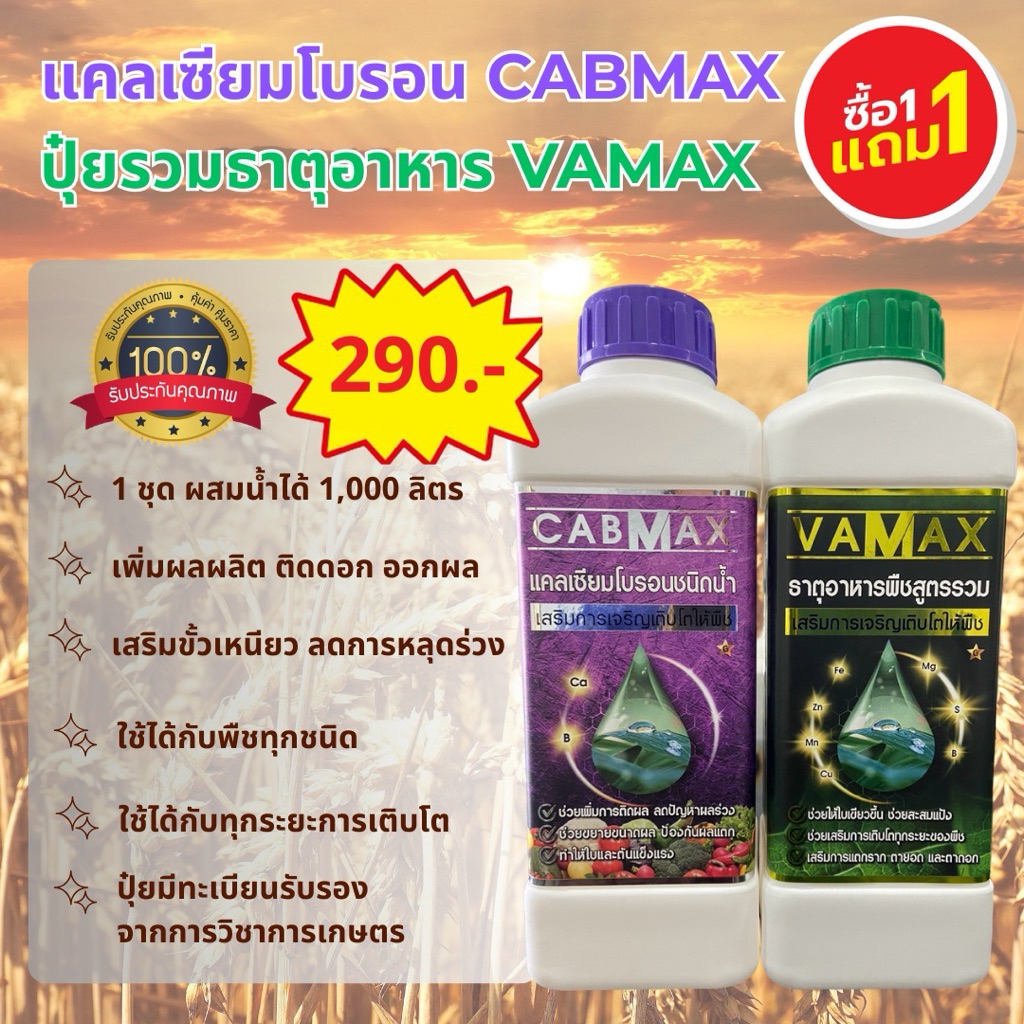 [ชุด 1แถม1] CABMAX+VAMAX แคลเซียมโบรอนเข้มข้ม แถม ปุ๋ยธาตุรวม | Shopee ...